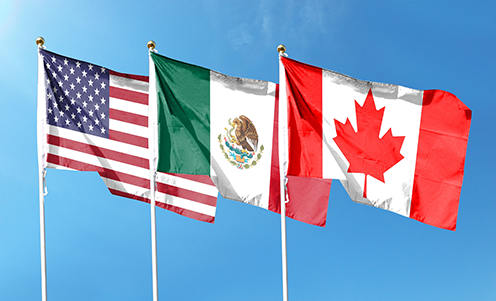 IBP Immigration Law – Just Start Your American Dream