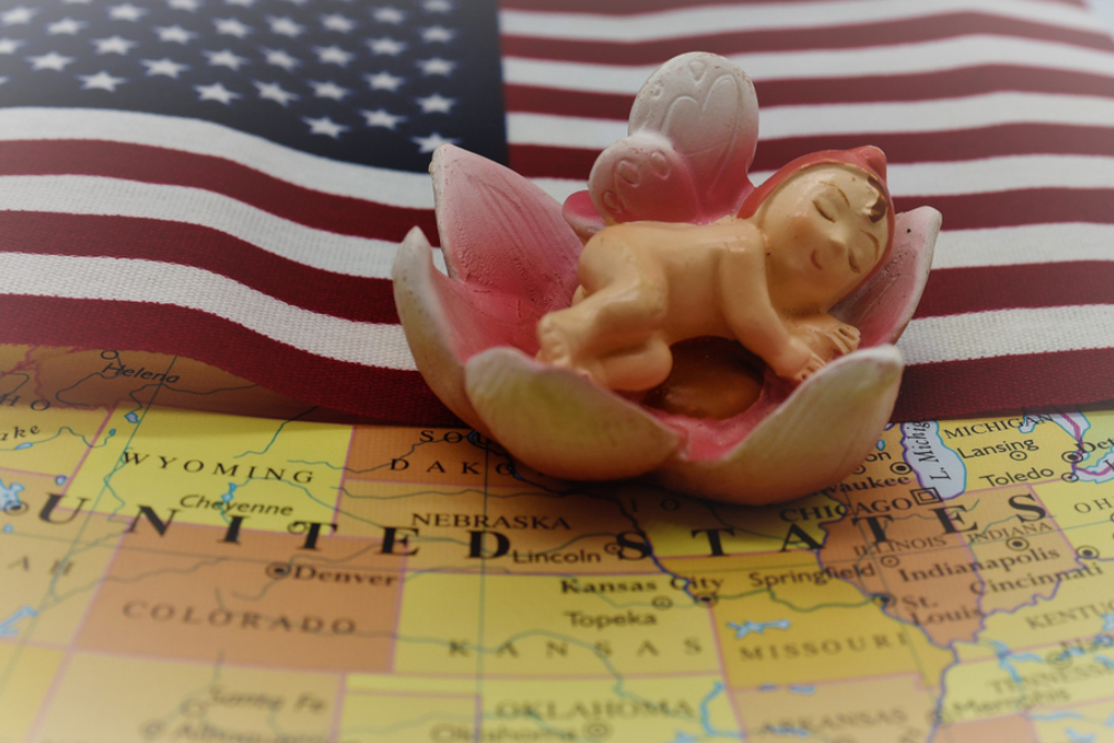 IBP Immigration Law – Just Start Your American Dream